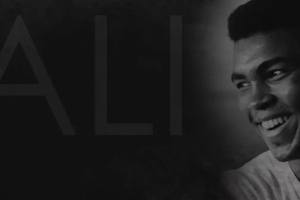 Portfolio Archive - Bluestone Productions